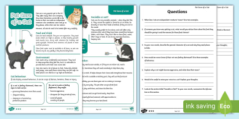 Describe the Cat Worksheet