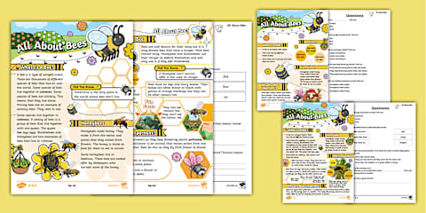 Busy Honeybees Reading Comprehension