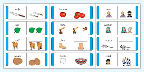 Plurals '-s' and '-es' Worksheet