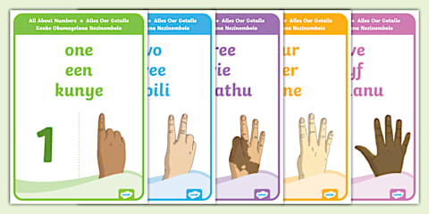 Foundation Phase - Seasons - Multilingual Posters - IsiZulu/Afrikaans ...