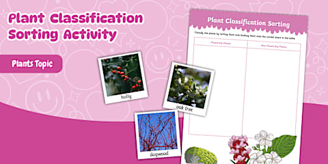 KS1 Flowering and Non-Flowering Plants Sorting Activity
