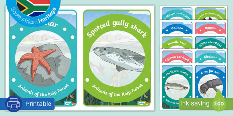 Kelp Forest Food Web Cut and Stick