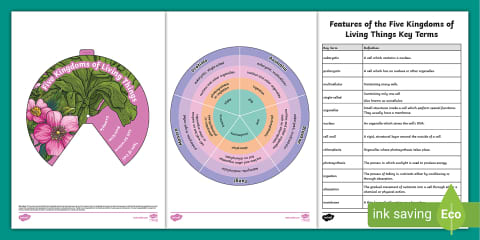Classifying Living Things Display Pack