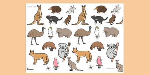 Australian Animals Editable