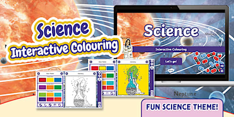 Space Shuttle Interactive Labelling Activity