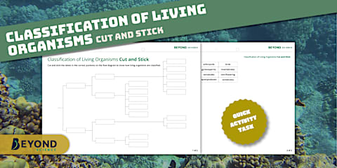 Classification of Living Organisms Card Sort