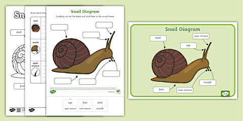 Snails Resource Pack