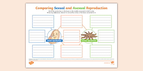 Types of Reproduction in Organisms Heredity Worksheets for 6th-8th Grade