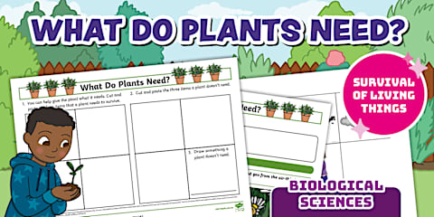 What Plants Need Interactive Visual Aid Template