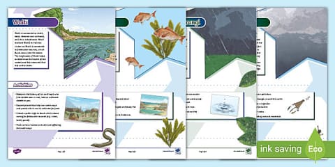 Matariki Activities - Templates Pack