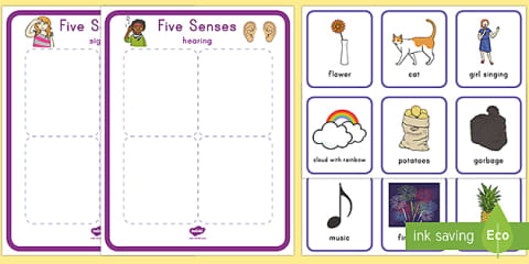 5 Senses Song for Kids - Twinkl Kids' TV