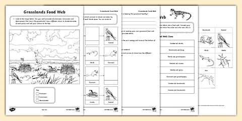 Grassland Biome Fact File
