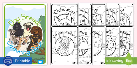 Dog Colouring Pages - Twinkl - KS1