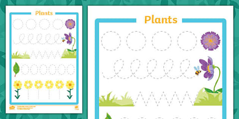 EYFS Plants and Growing Continuous Provision Planning