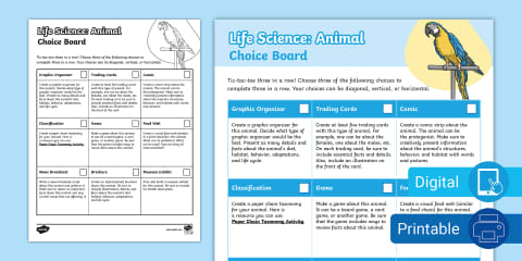 Earth Science: The Moon Choice Board for 3rd-5th Grade