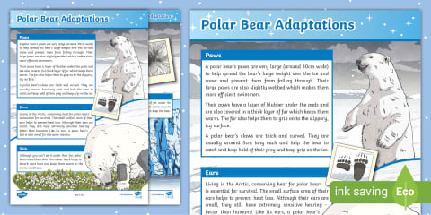 Penguin Adaptations Poster