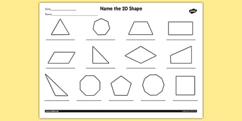 Great Shape Race 2D Shape and 3D Object Differentiated Hunt