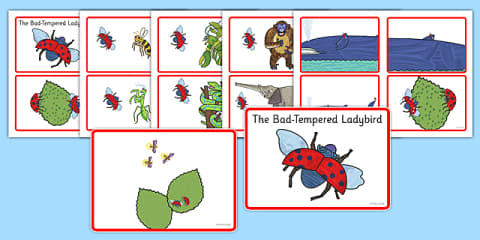 Story Sequencing to Support Teaching on The Bad Tempered Ladybird