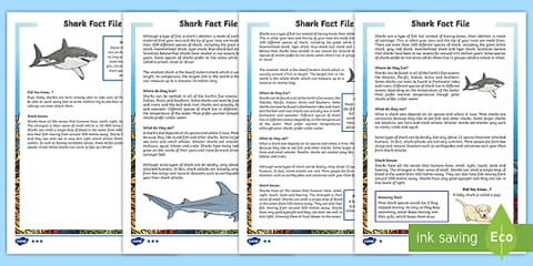 EYFS All About Sharks Fact Files | Twinkl