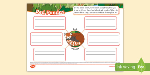 Describe the Red Panda Writing Worksheet