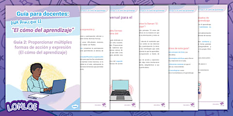 Guía para docentes: DUA – Principio III "El porqué del aprendizaje"