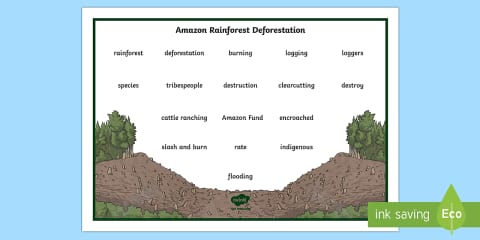 The Effects of Deforestation in The Amazon Rainforest Writing Worksheet