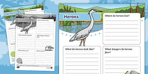 KS1 Wildebeest Fact File - Twinkl