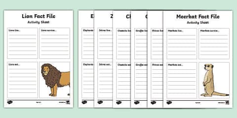 Lions Fact File Template