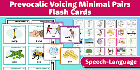 Stopping Minimal Pairs Flash Cards for SLP