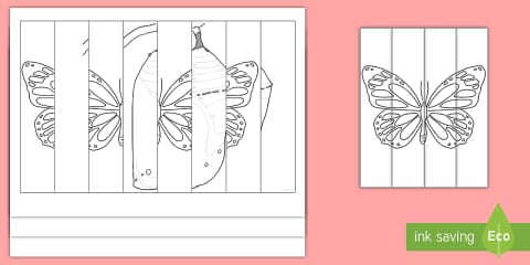 Discuss the Life Cycle of a Butterfly Picture Prompt