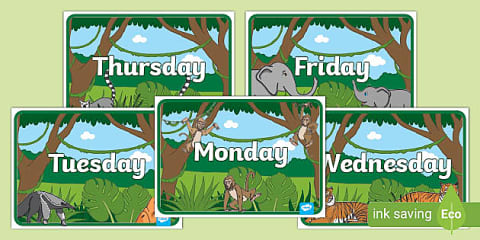Jungle Themed Display Calendar - jungle, jungle themed, display ...