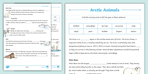 Arctic Fox True or False Activity