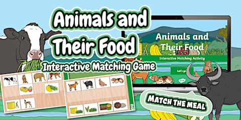 Food Chains Sequencing Game