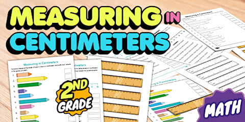 Second Grade Measuring in Inches and Line Plot Worksheet