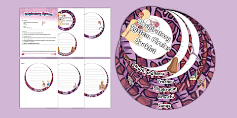 Respiratory System Matching Cards