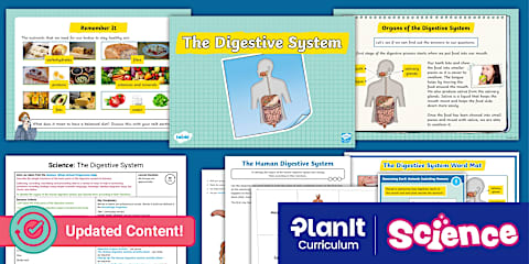 The Human Digestive System Cloze Activity