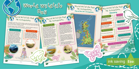 Ecosystem Information Display Posters