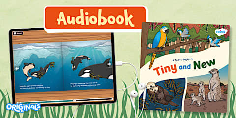 The Gutsy Gang Book Series - Rainforest Editable Name Colouring Bookmarks