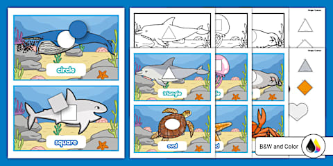 Ocean Animals Activity Pack for PreK-K