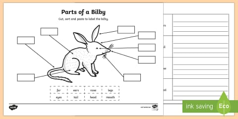 Bilbies Fact Sheet - australia, bilby, bilbies, Australian animals ...