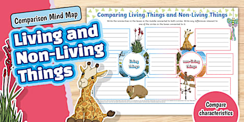 Living, Non-Living and Once-Living Escape Room