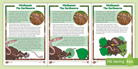 Earthworms Fact Sheet and Labelling Task