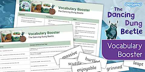 Year 2 All About Dung Beetles Non-Fiction Reading Comprehension Activity