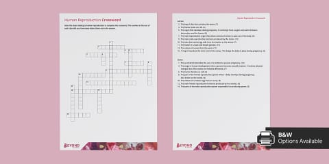 Plant Reproduction Crossword