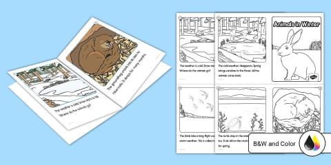 Animals That Hibernate in Winter Posters