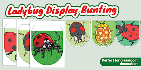 Rainbow Instant Photo Style Display Images