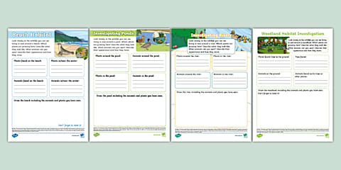Design a Habitat Worksheet