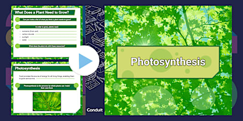 Photosynthesis PowerPoint & Google Slides for 6th-8th Grade