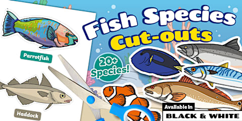 Australian Water Animals Scavenger Hunt Riddles