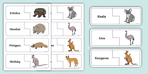 Australian Animal Word Cards